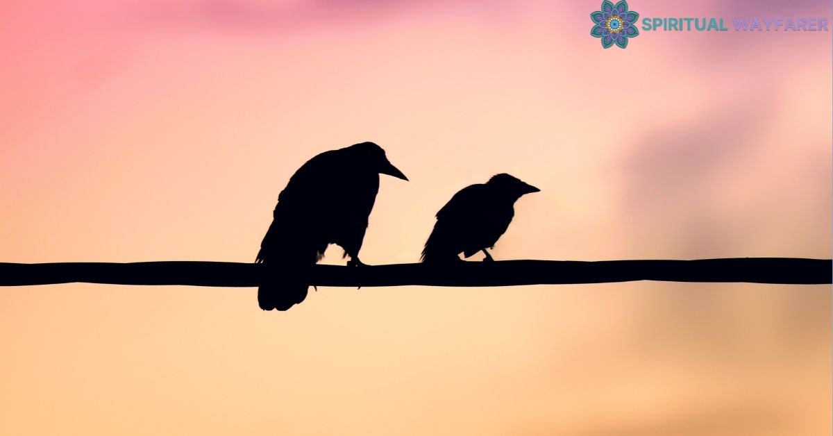 Decoding the Symbolism: What Seeing Two Crows Signifies Across ...
