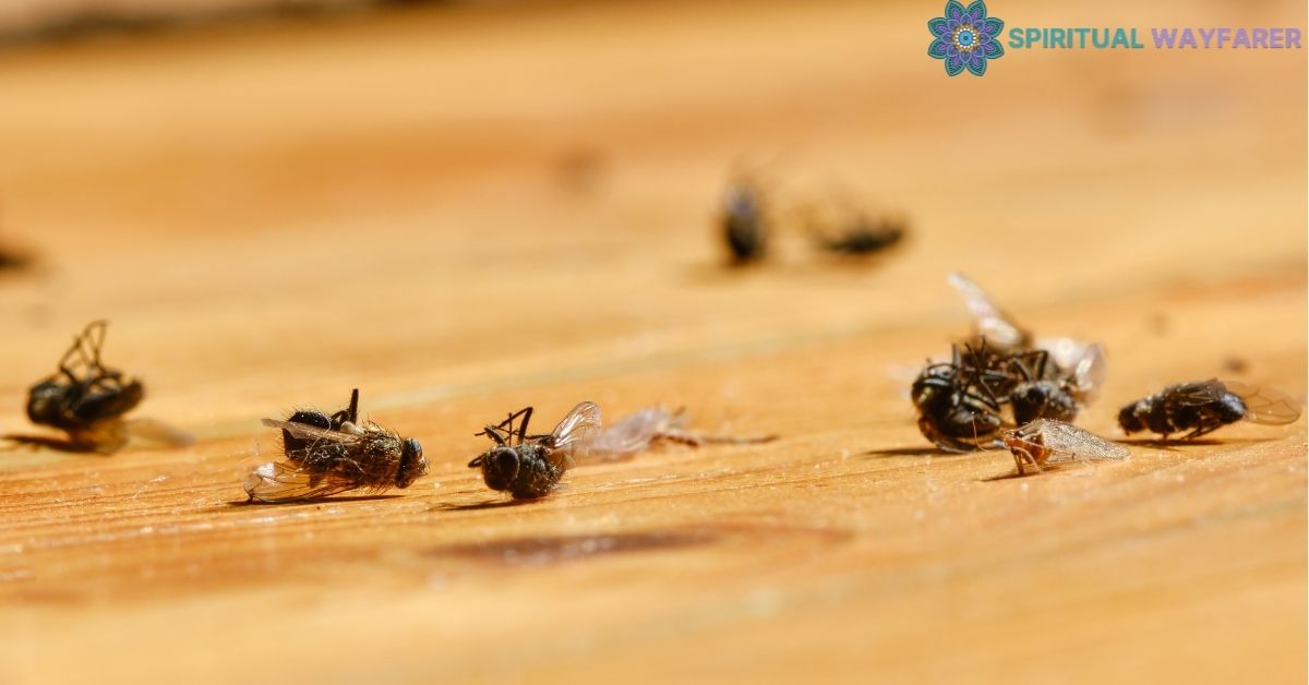 Unlocking the Spiritual Wisdom of Dead Flies in Your Home