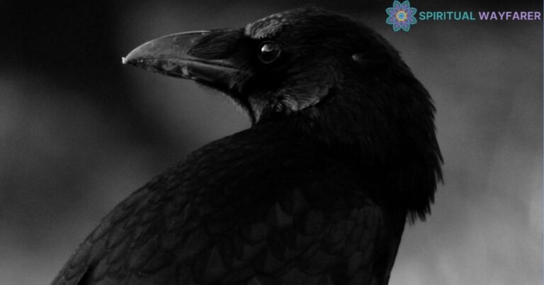 Unraveling the Raven: Spiritual Meanings and Symbolism Across Cultures