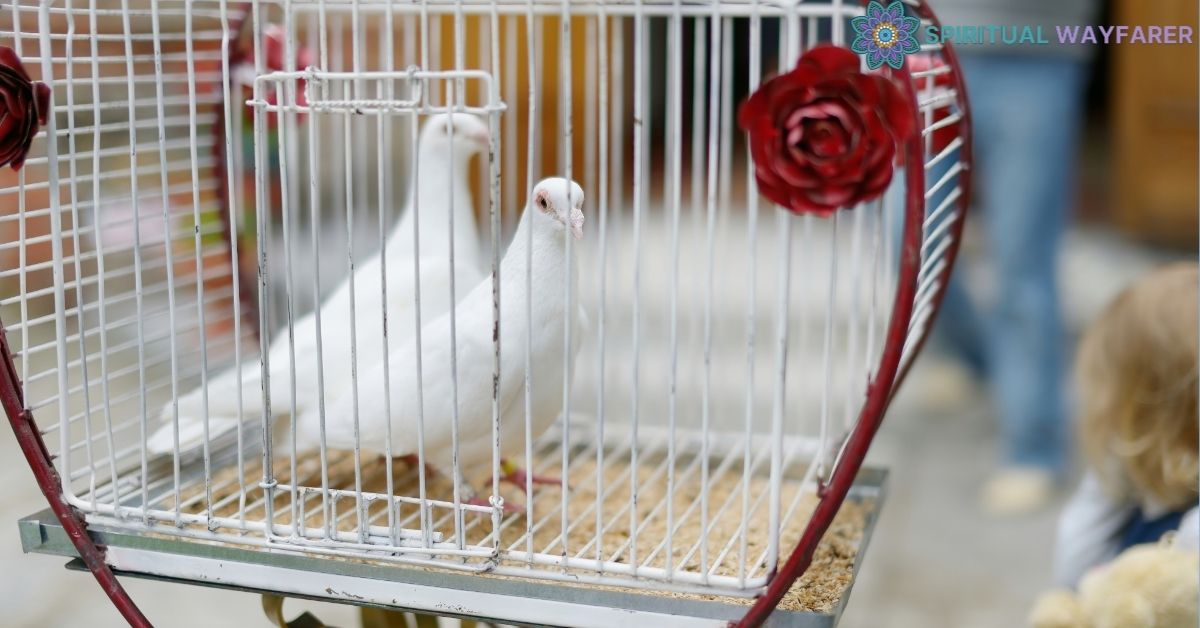 Unveiling the Mystery: What Does Spotting Two Doves Symbolize?