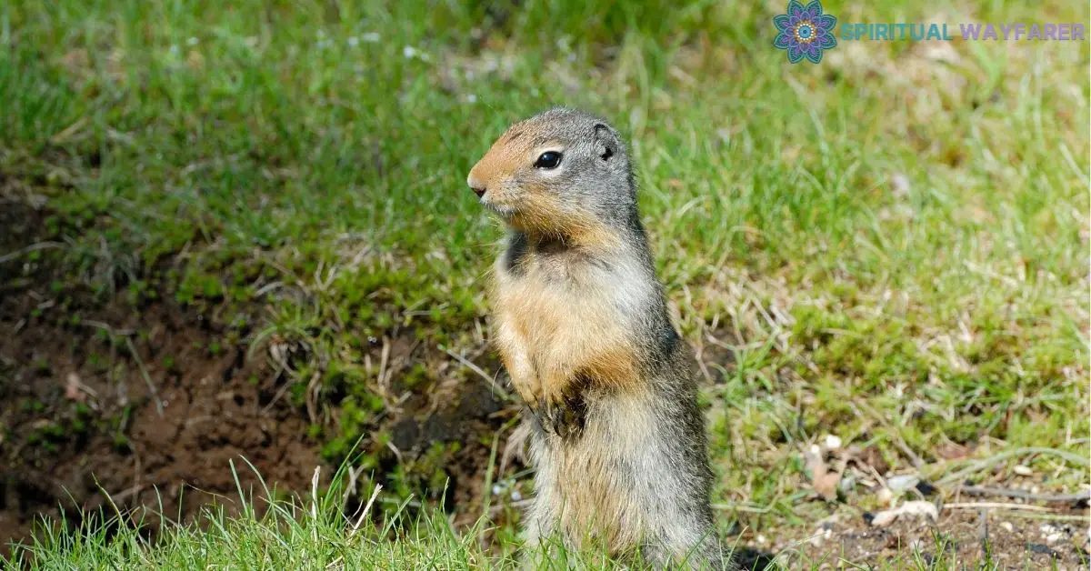 Unlocking the Secrets of the Gopher: A Journey into Spiritual Symbolism