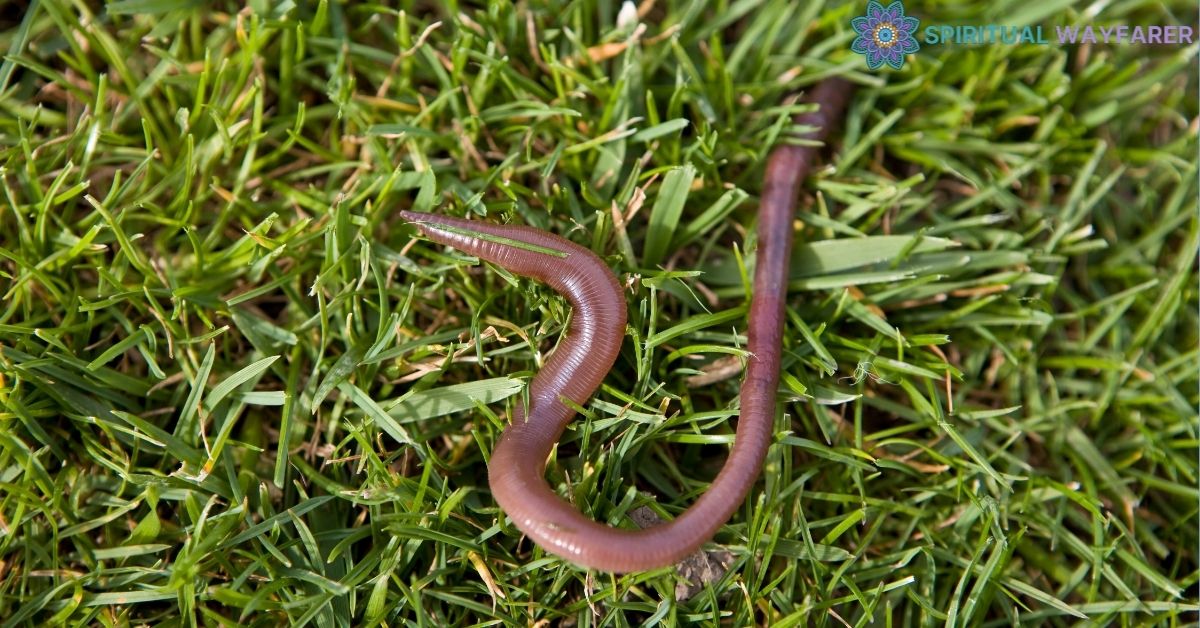 Unlocking the Mysteries: The Spiritual Significance of Discovering ...