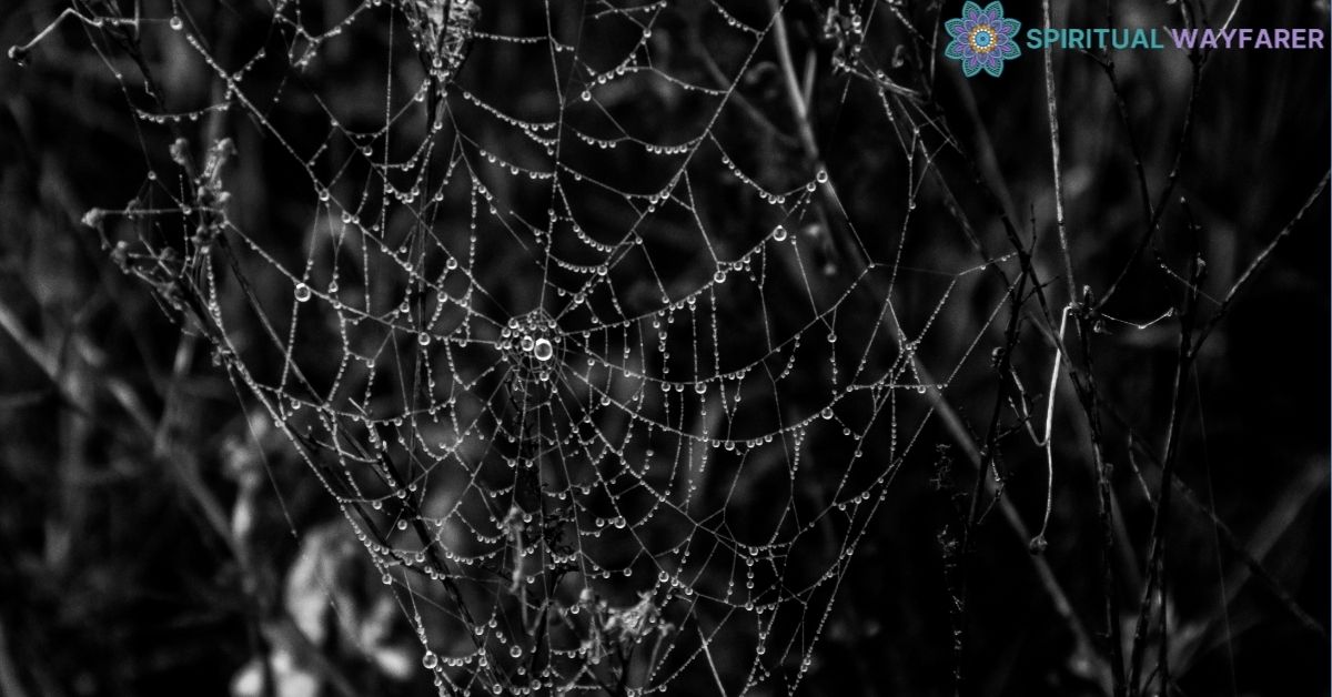 Unraveling the Mystery: What Does Walking into a Spider Web Really Mean?