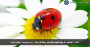 Unraveling the Mystery: Does Killing a Ladybug Really Bring Bad Luck?