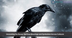 Unraveling the Raven: Spiritual Meanings and Symbolism Across Cultures