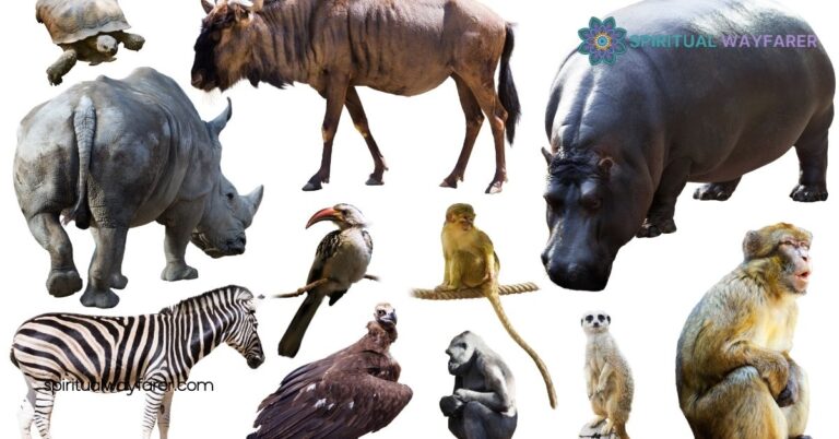 Discover Your Spirit Animal for January: Unlock Strength & Growth