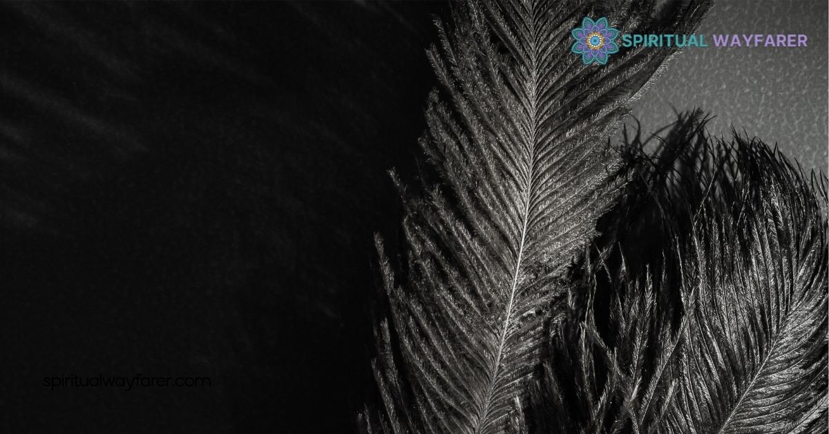 Black White Feather Biblical Meaning: Unlock Their Spiritual ...