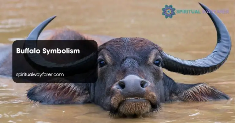 Unlock the Secrets of Buffalo Symbolism: Strength, Wisdom, & Cultural Significance