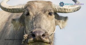 Unlock the Secrets of Buffalo Symbolism: Strength, Wisdom, & Cultural ...