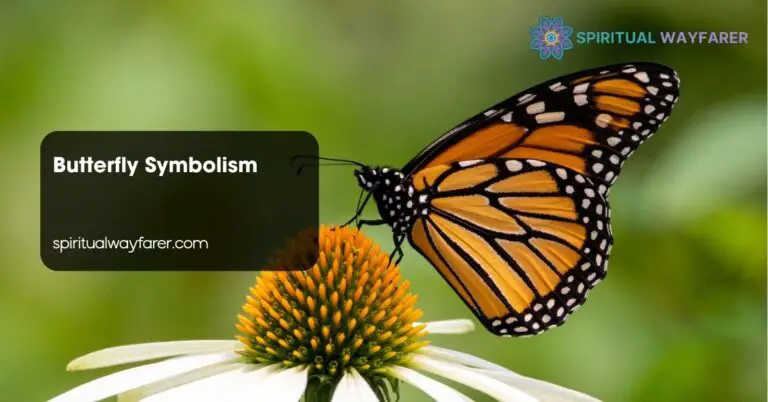 Butterfly Symbolism Revealed: How These Graceful Creatures Inspire Change
