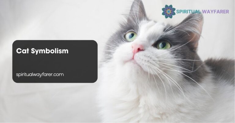 Cat Symbolism Explained: From Ancient Egypt to Modern Culture