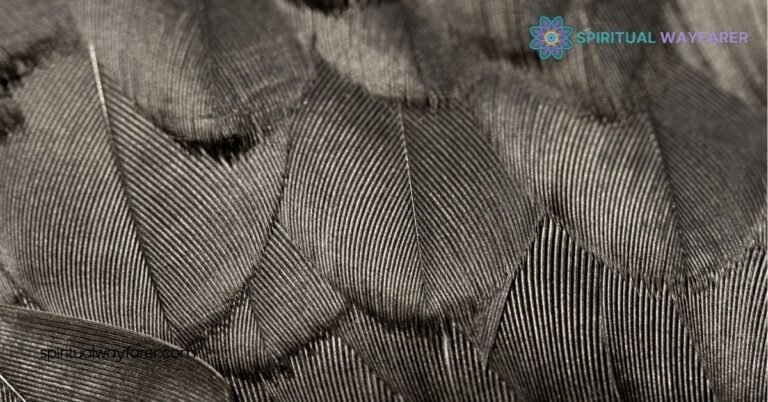 Black and Grey Feather Symbolism Meaning: Secrets of Transformation and ...