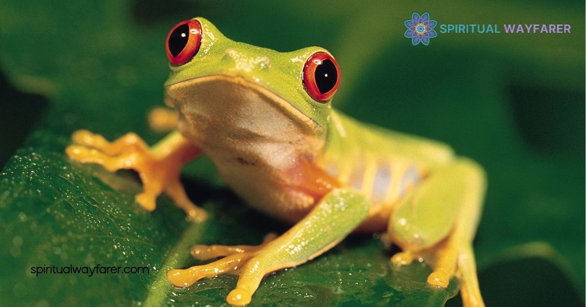 Unlocking the Spiritual Meaning Behind Frog Dreams: What They Reveal ...