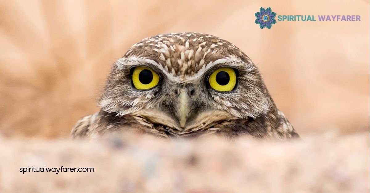 Owl Crossing Your Path? Discover Its Powerful Spiritual Meaning