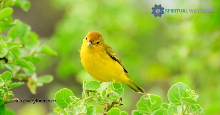 Exploring the Spiritual Meaning & Symbolism of Yellow Birds: Embrace ...