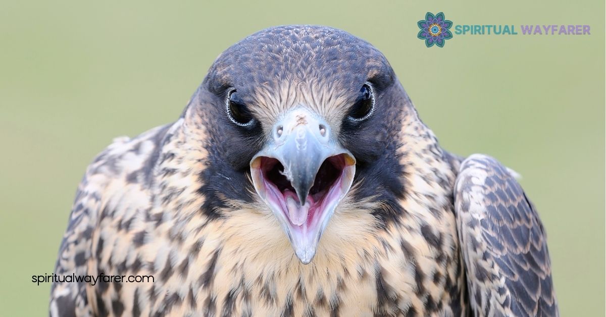 Falcon Spirit Animal Meaning Revealed: Harness Its Power for Success