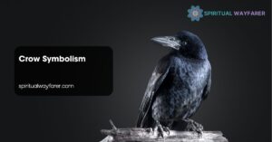 Understanding Crow Symbolism: Meanings, Myths, and Cultural Insights