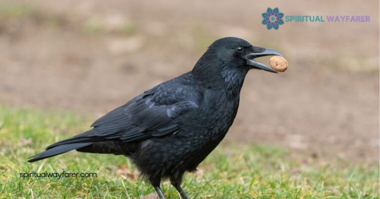 Understanding Crow Symbolism: Meanings, Myths, and Cultural Insights