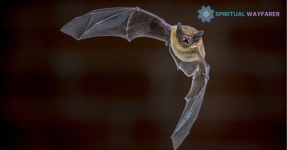 Unveiling Bat Symbolism: Meanings Across Cultures & History