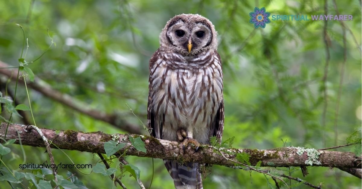 Owl Crossing Your Path? Discover Its Powerful Spiritual Meaning