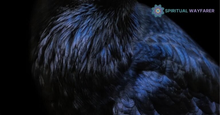 Unveiling Raven Feather Symbolism: Unlock the Mysteries and Wisdom ...