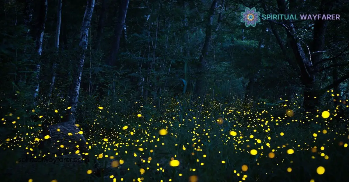 Firefly in the House Spiritual Meaning: Unlock Messages of Hope and ...