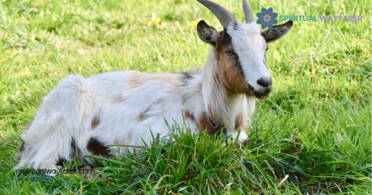 Goat Symbolism: Uncovering Its Cultural, Spiritual & Mythological Meanings