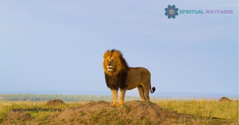 Lion Symbolism Unveiled: Exploring Strength, Courage, and Cultural ...