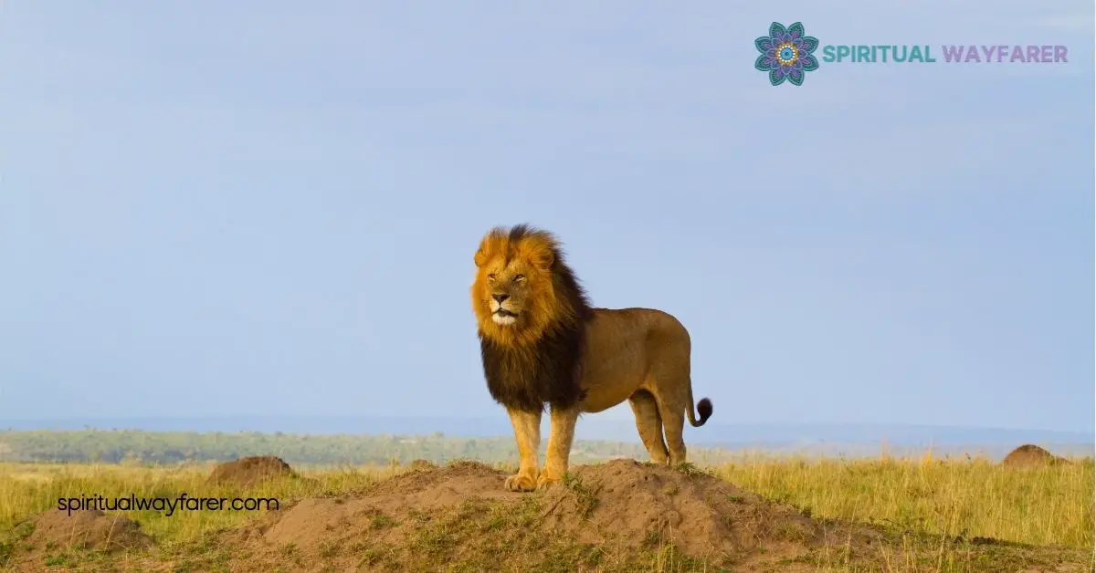 Lion Symbolism Unveiled: Exploring Strength, Courage, and Cultural ...