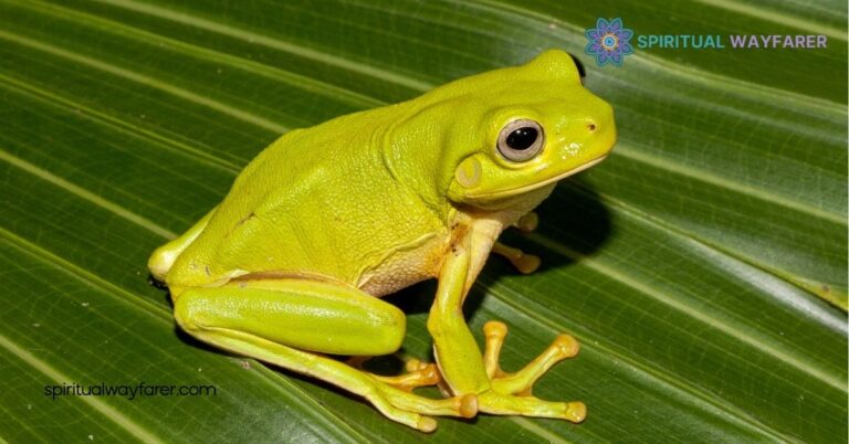 Frog Symbolism Explained: Discover Its Mystical Meaning Across Cultures