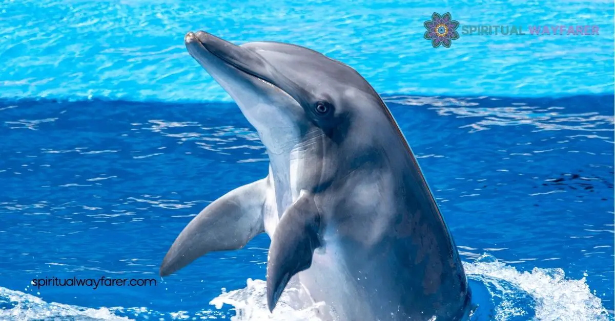 Dolphin Symbolism: Discover Their Meanings, Myths, and Cultural ...
