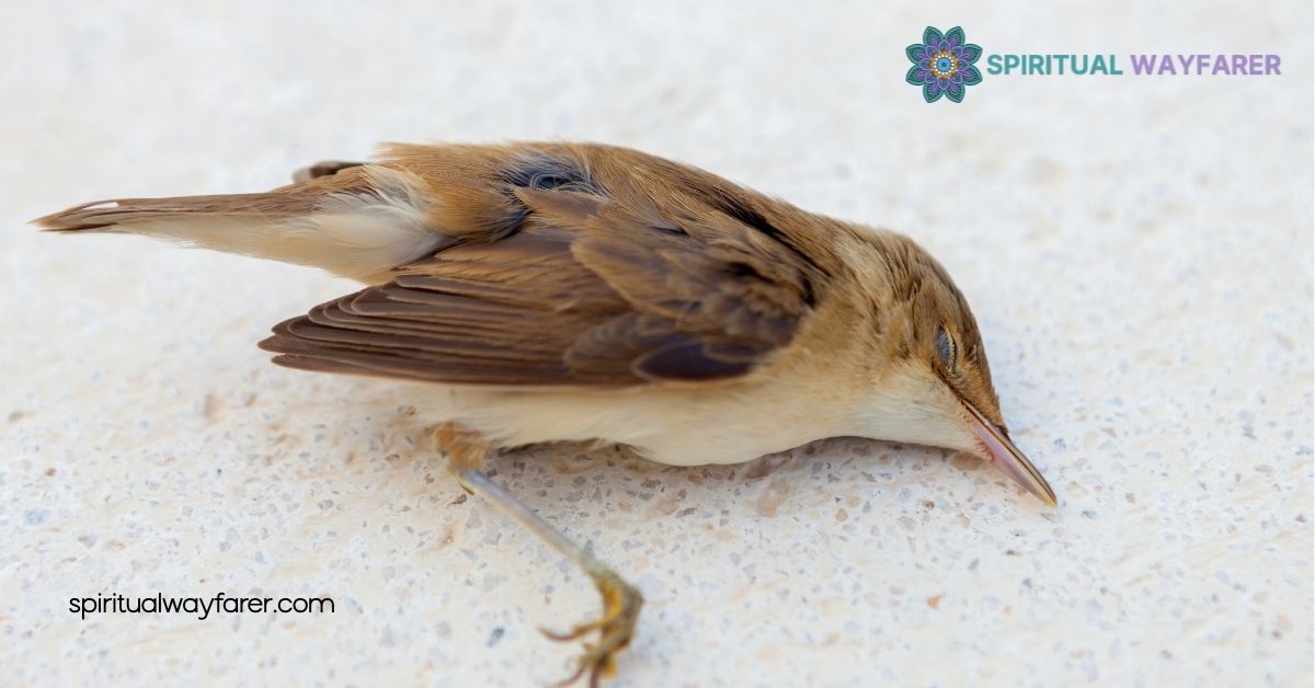 Found a Dead Bird? Discover Its Powerful Spiritual Meaning Now