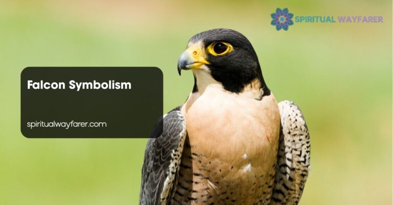 Falcon Symbolism: Exploring Power, Freedom & Cultural Significance