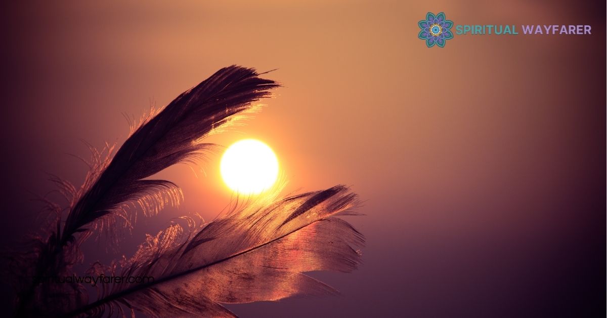 Feather Spiritual Meaning: Discover How Feathers Guide Your Spiritual ...