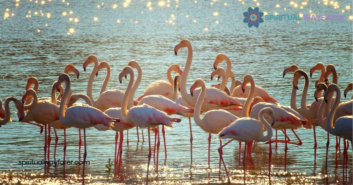 Unlock the Hidden Meanings: Exploring Flamingo Symbolism Across Cultures