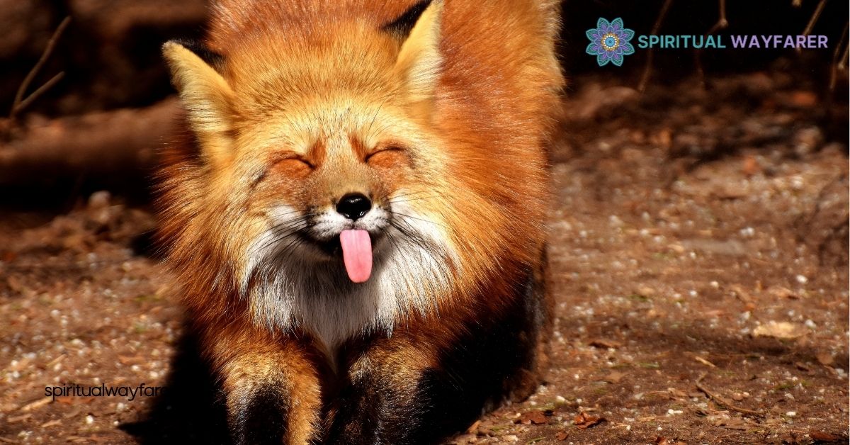 Unlocking Fox Symbolism: Discover the Hidden Meanings Behind This ...