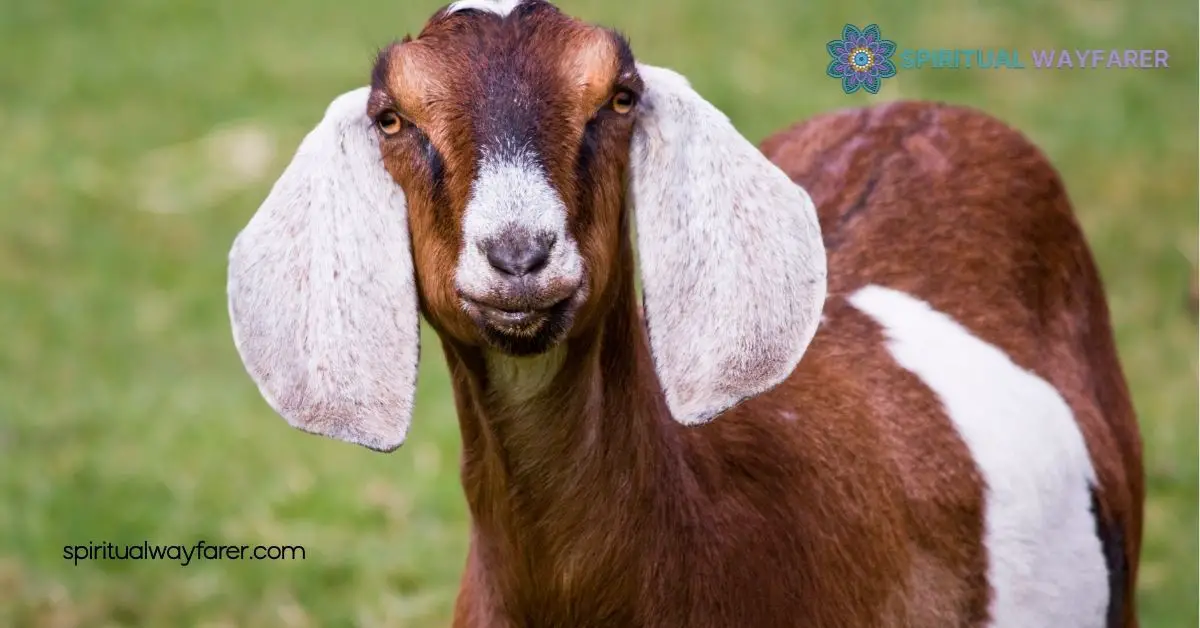 Goat Symbolism: Uncovering Its Cultural, Spiritual & Mythological Meanings
