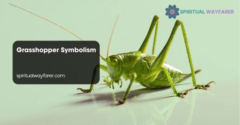 Grasshopper Symbolism: Discover Its Meanings in Culture, Art, and ...