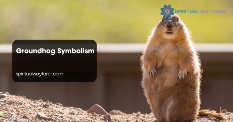 Groundhog Symbolism Uncovered: Discover the Deeper Meaning Behind ...
