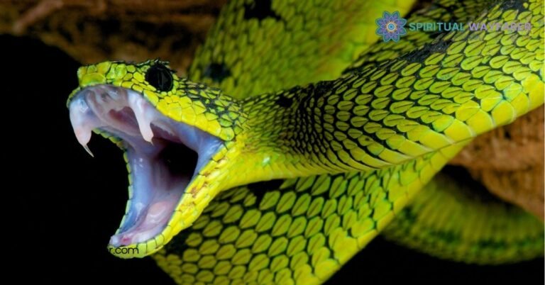 Understanding Snake Symbolism: History, Myths, and Spiritual Significance