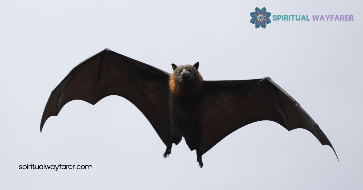 Unveiling Bat Symbolism: Meanings Across Cultures & History