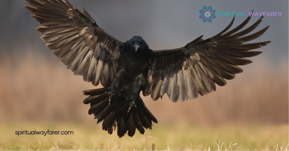 Unlock the Secrets of Raven Symbolism: Myths, Meanings, and Cultural ...