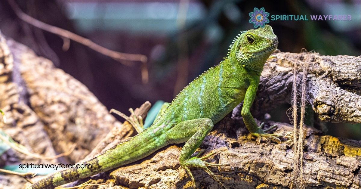 The Iguana Spiritual Meaning: Discover Its Powerful Symbolism and Insights