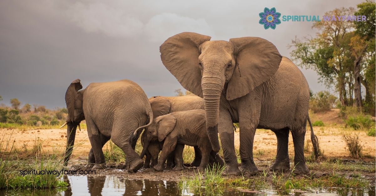 Top 10 Animals That Symbolize Friendship and Inspire Your Relationships