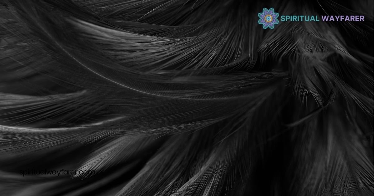 Black and Grey Feather Symbolism Meaning: Secrets of Transformation and ...