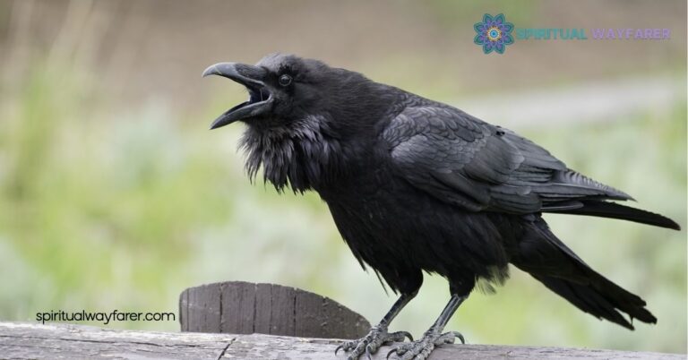 Unlock the Secrets of Raven Symbolism: Myths, Meanings, and Cultural ...