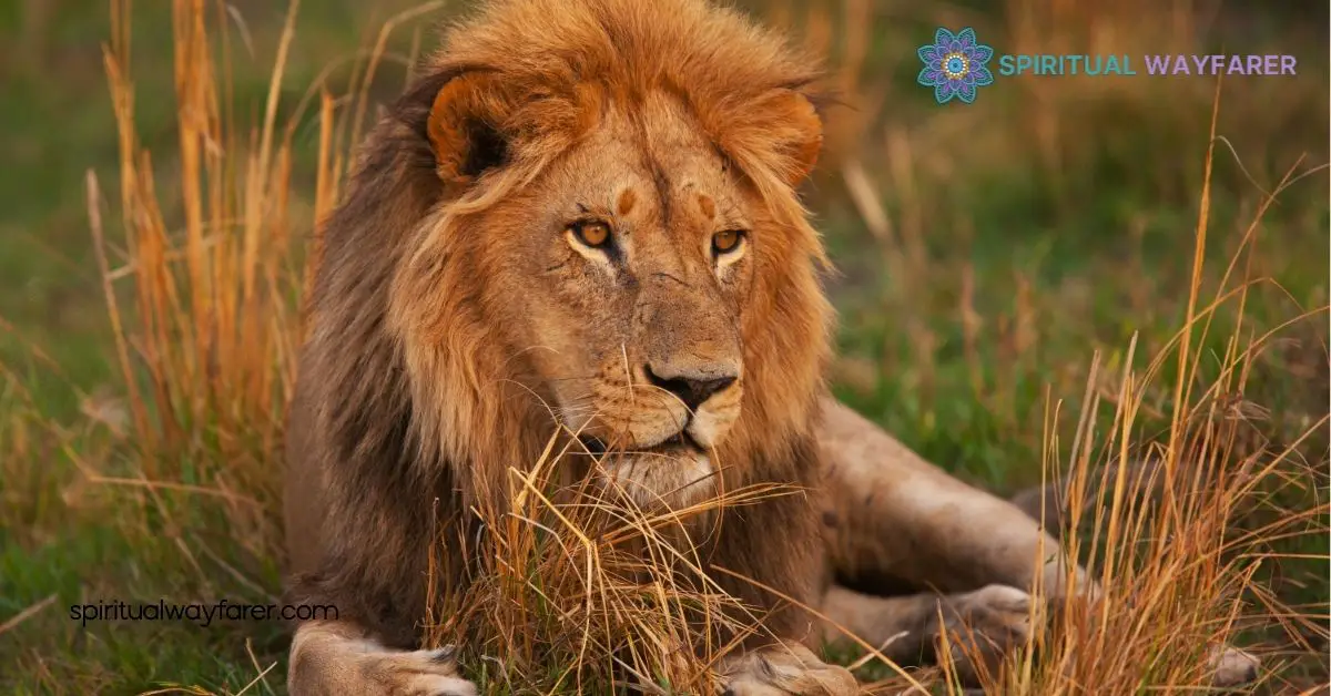 Lion Symbolism Unveiled: Exploring Strength, Courage, and Cultural ...