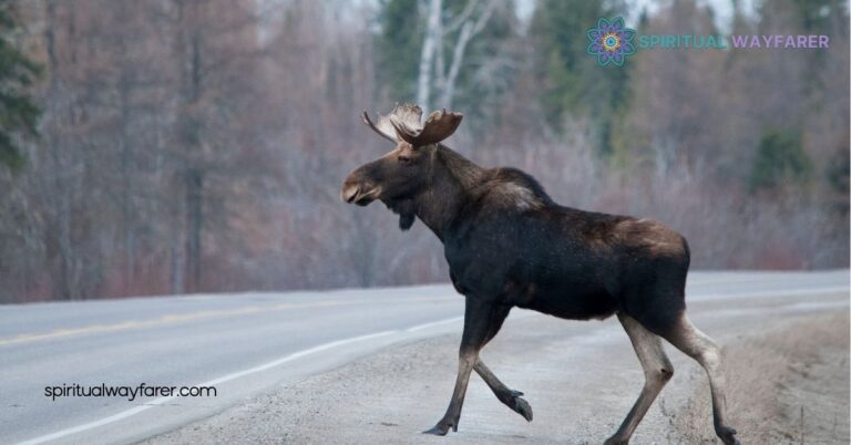 Unveiling Moose Symbolism: Discover Strength, Resilience & Personal Growth