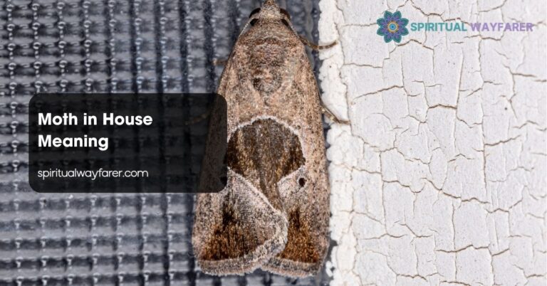 Moth in House Meaning: Symbolism, Cultural Insights & How to Handle It