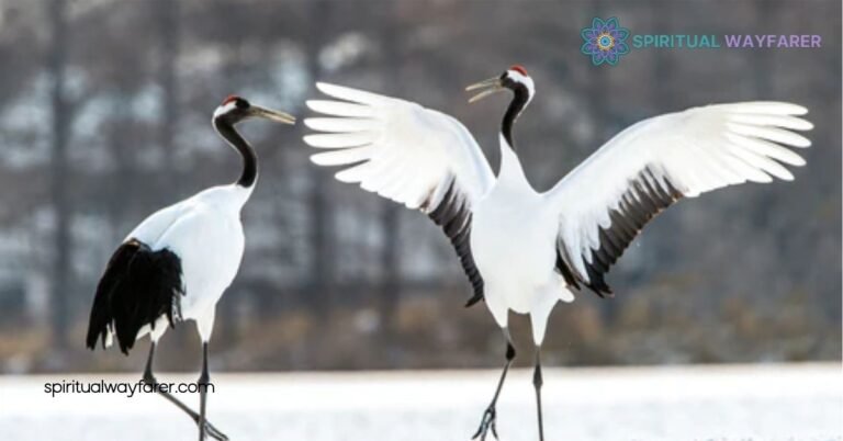 Crane Symbolism: Uncover the Ancient Meanings and Modern Significance
